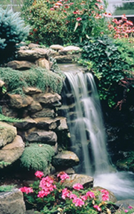 Contact Us | Mentor Surgery Center